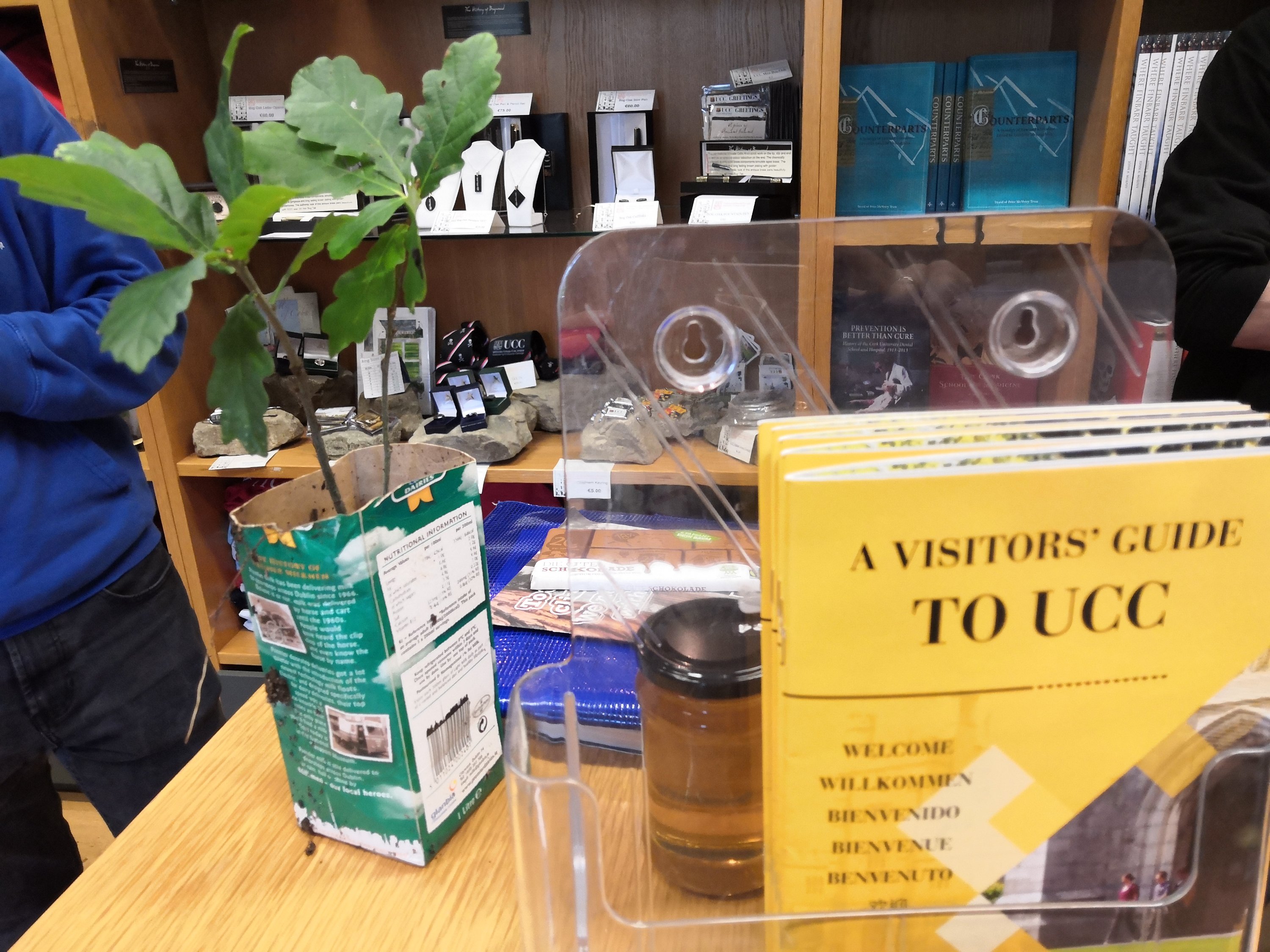 An Oak Tree for UCC, Macroom-grown! – Easy Treesie