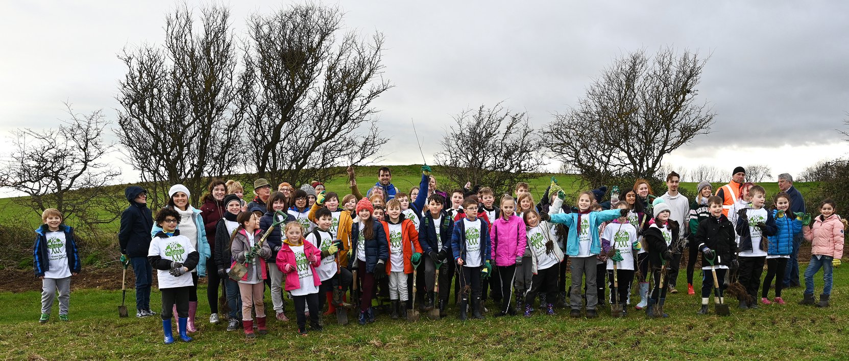 What We Do – Easy Treesie