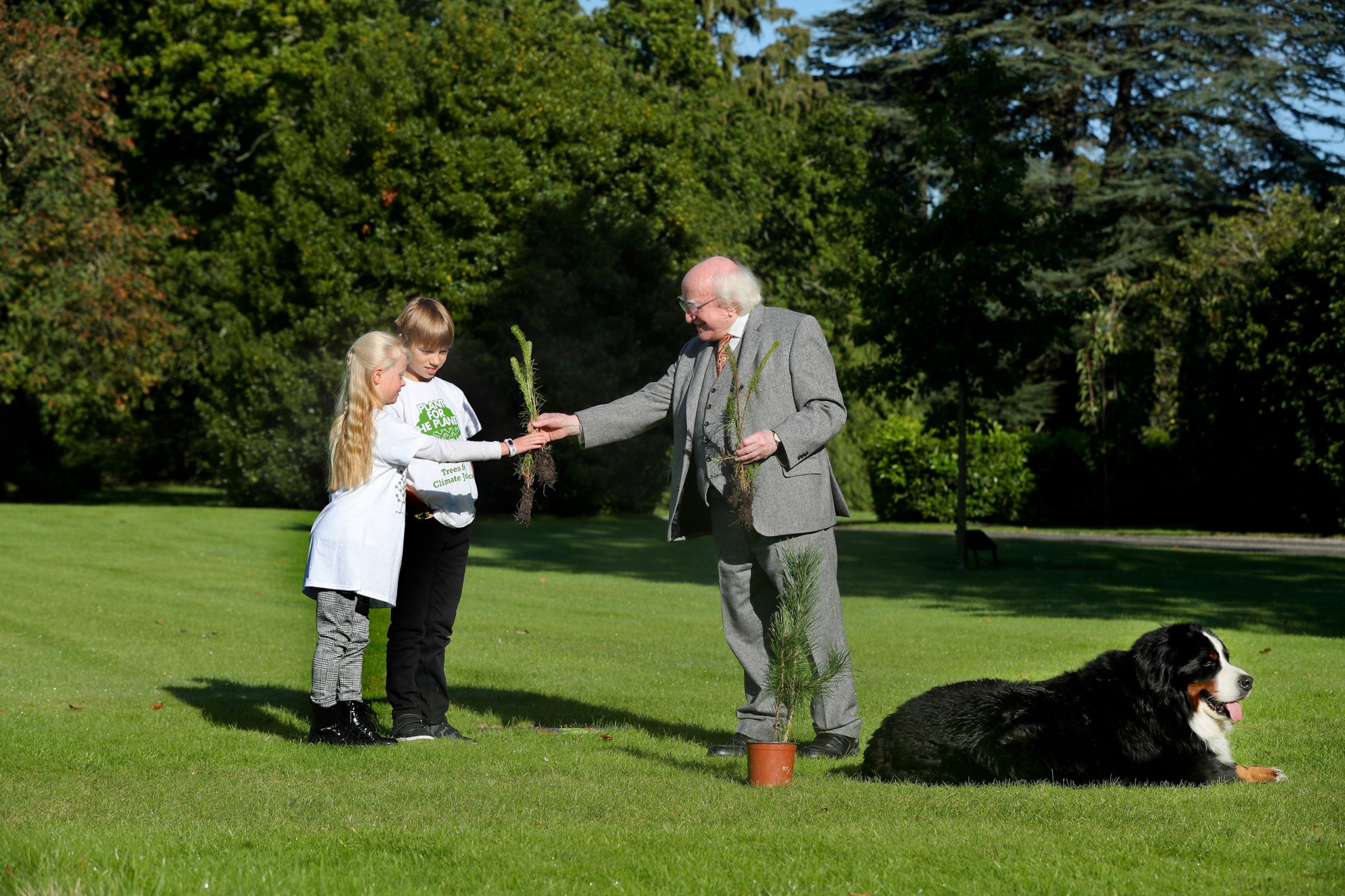 Easy Treesie – Planting 1M trees with Ireland's 1M children