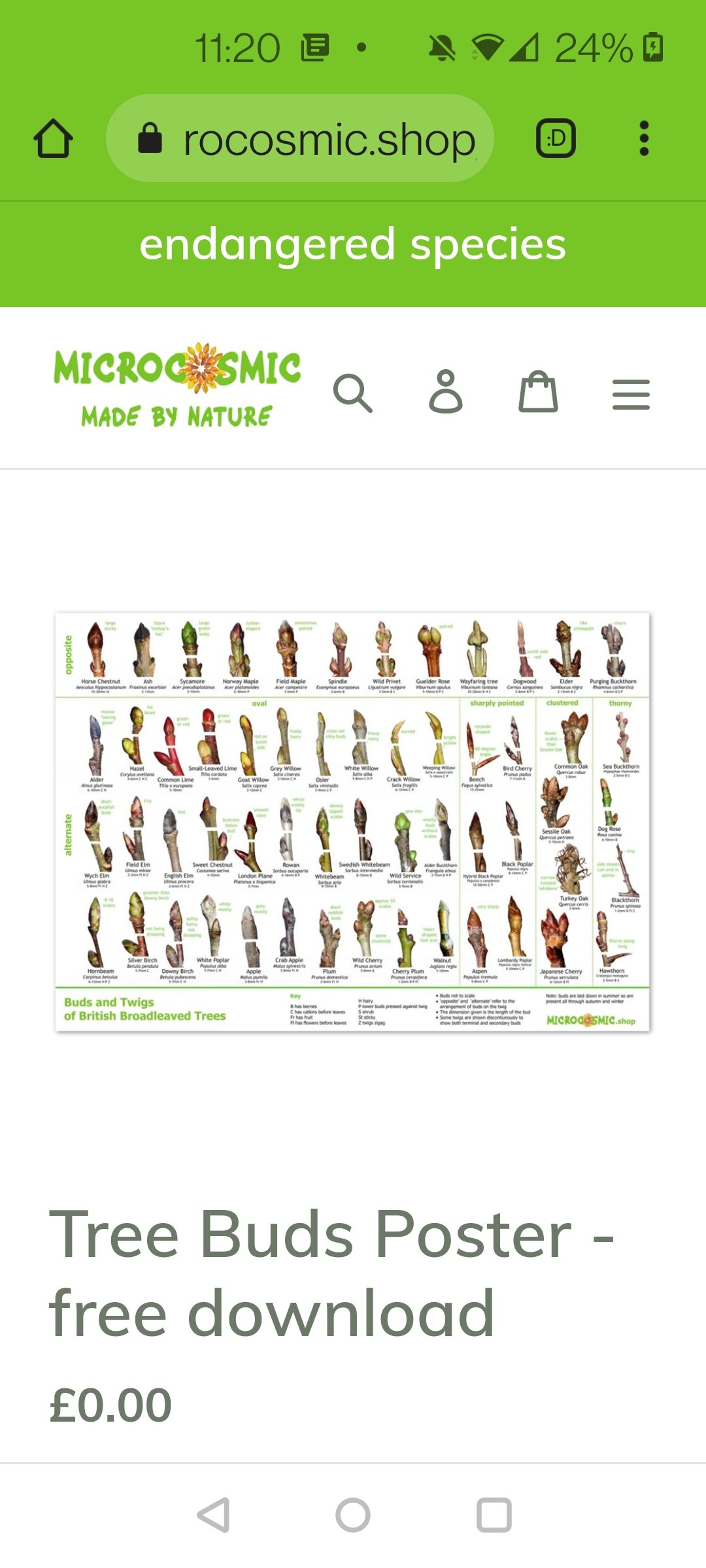 Posters – Microcosmic – Easy Treesie